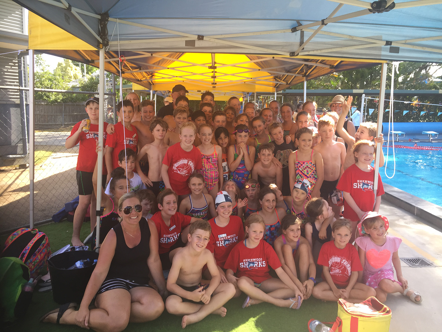 Latest News - Sherwood Sharks Swim Club